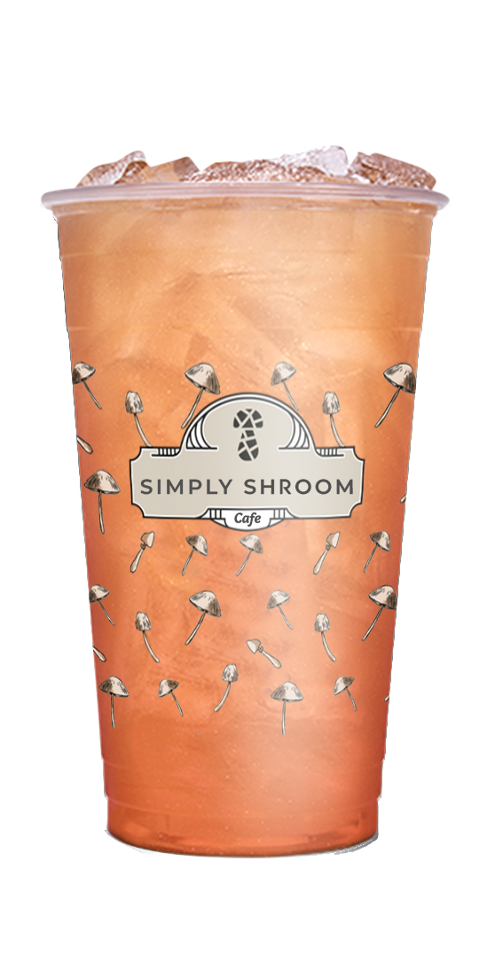 Starlight Energy Spritzer – Simply Shroom